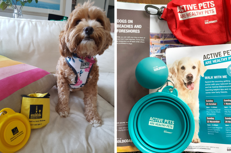 Registering your Pet with Local Council - PetCloud