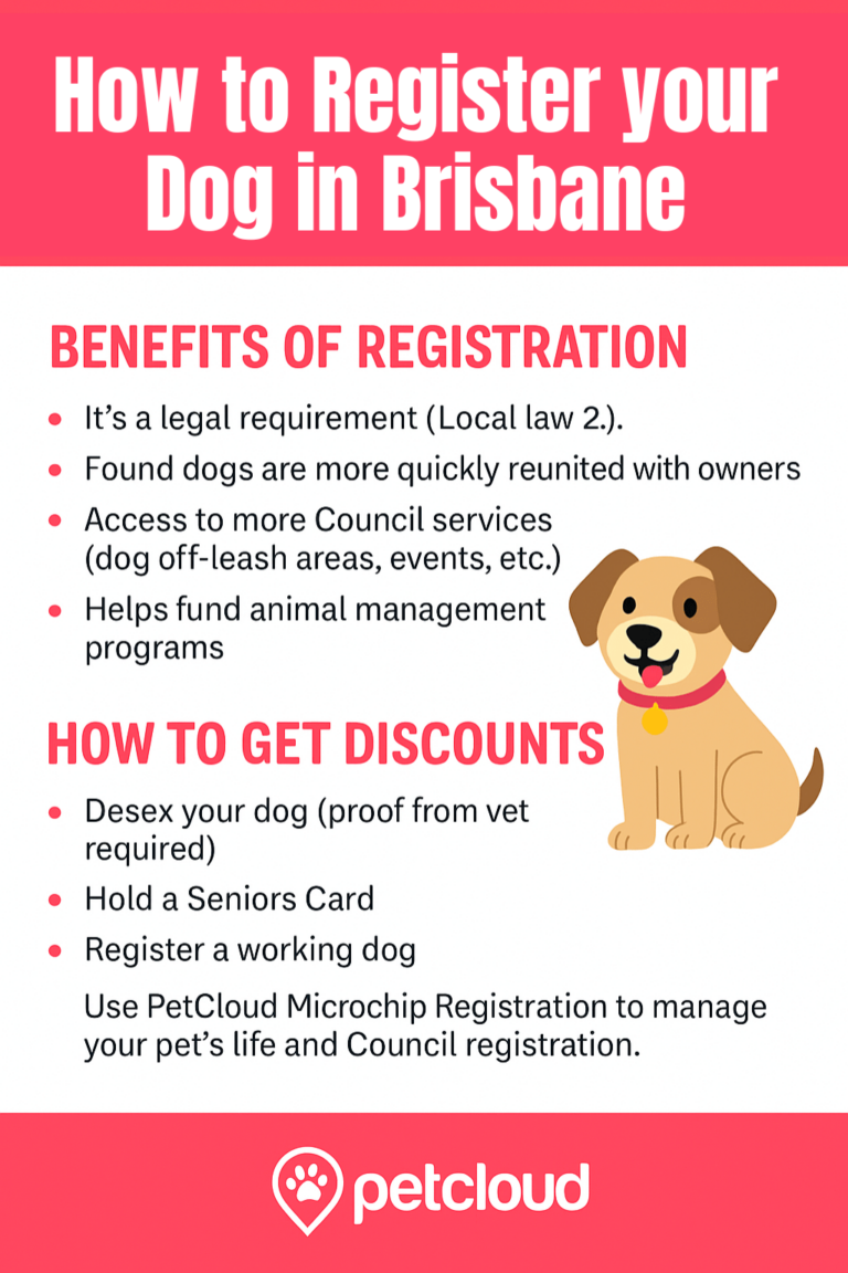How to Register Your Dog in Brisbane - PetCloud