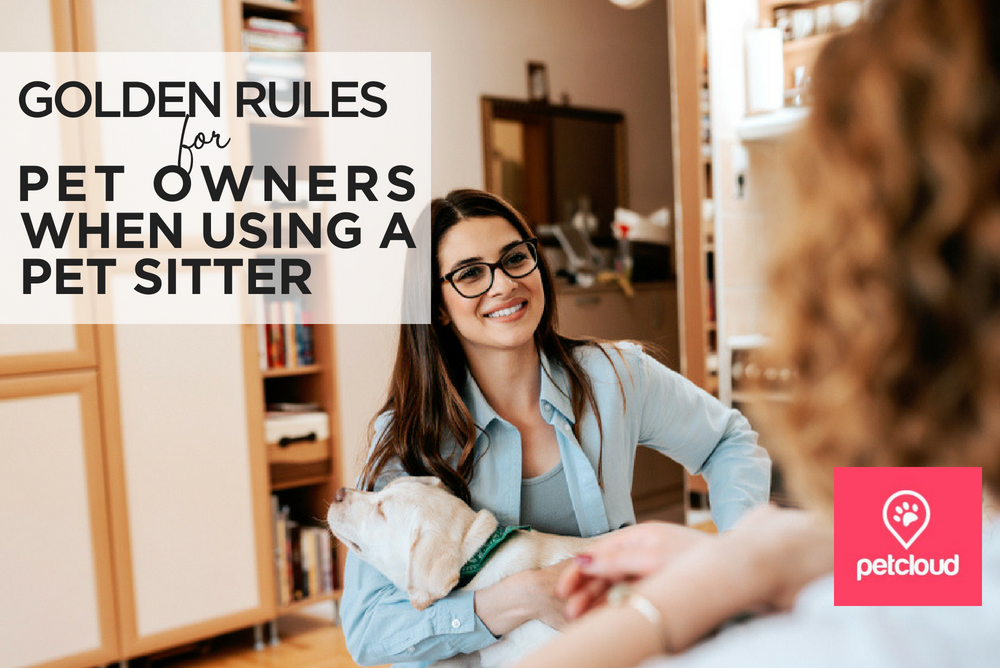 The Golden Rules For Pet Owners When Using A Pet Sitter Blog PetCloud The Golden Rules For Pet Owners When Using A Pet Sitter Blog PetCloud
